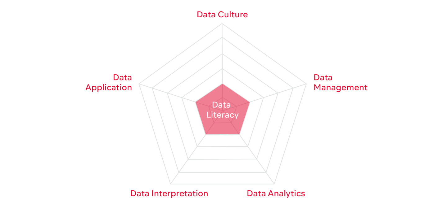 Data literacy – the most important skill for digital companies? | Comma ...