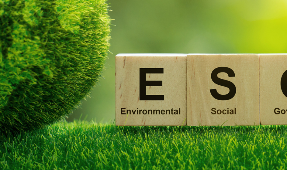 5 digital levers for increased sustainability | Comma Soft Blog