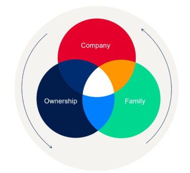 Digitization in family-run businesses: achieving a harmony between ...